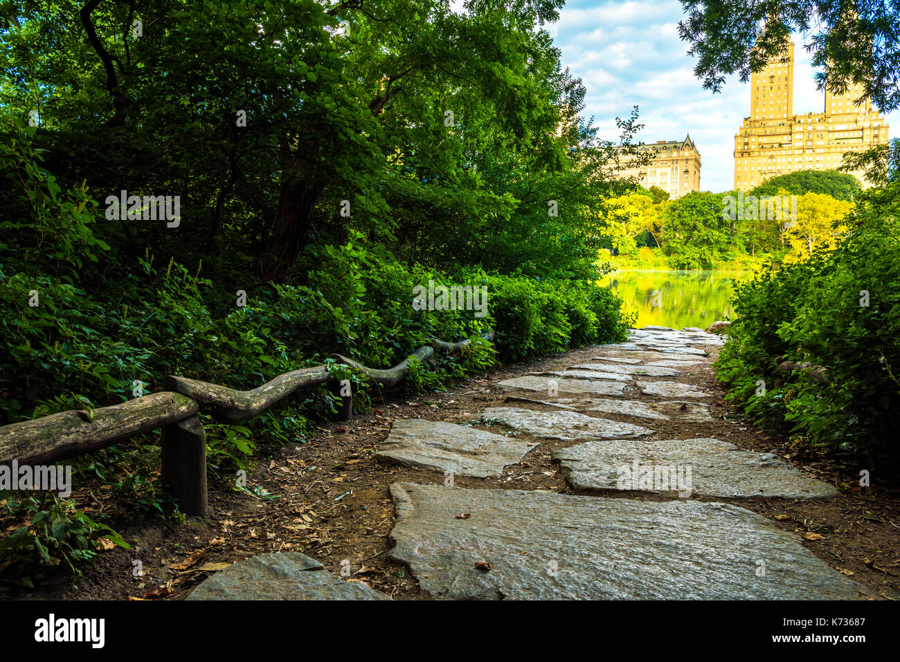 Lovely path in Central Park. Tree branches forming heart shaped ...