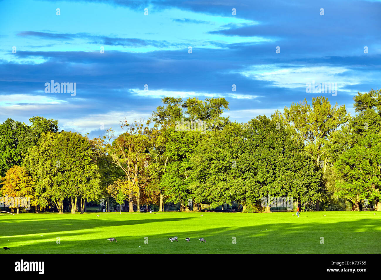 Beautiful park scene. panorama of green city park Stock Photo - Alamy