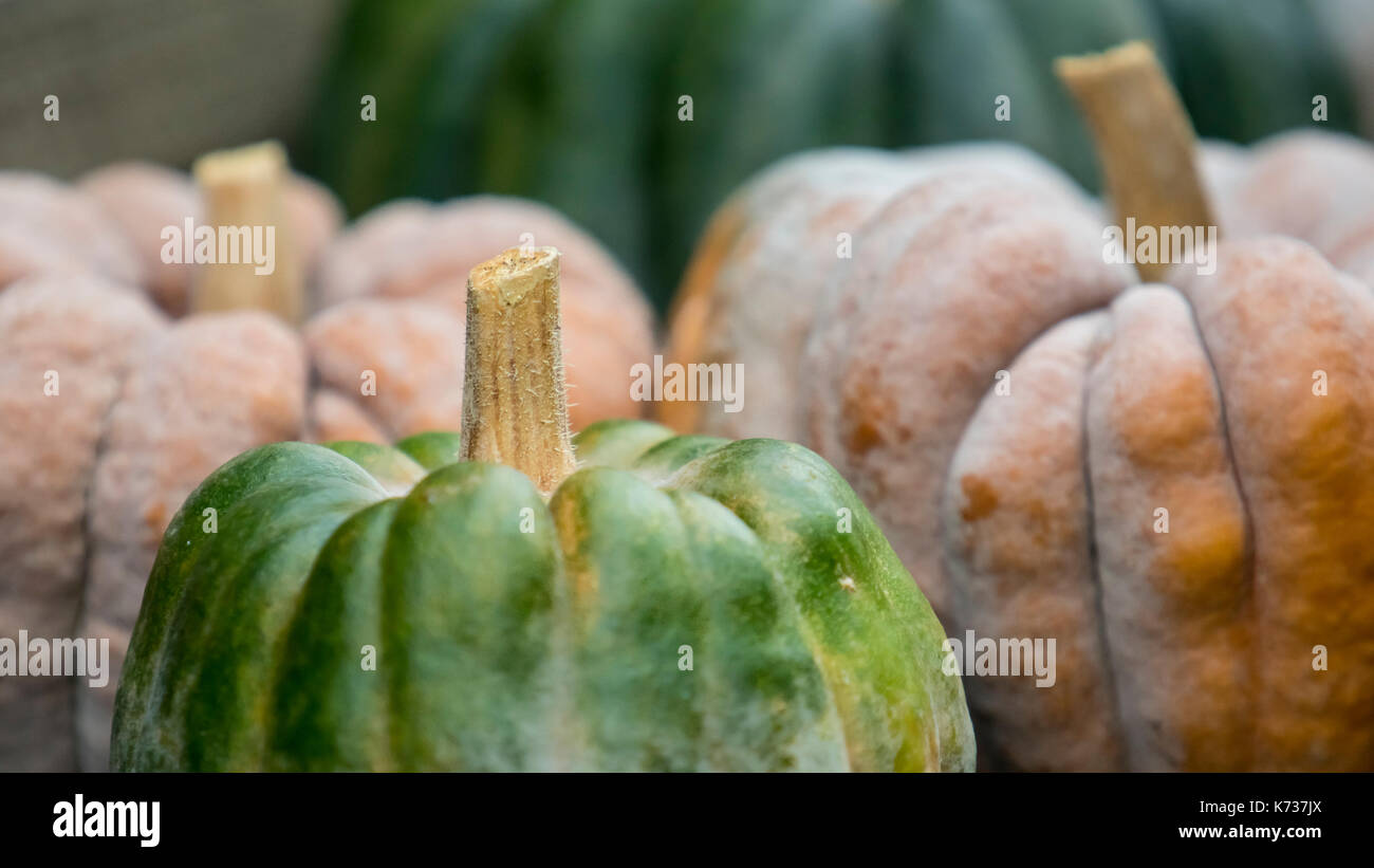 Small pumpkins on a wooden table on display outside a shop Stock Photo ...