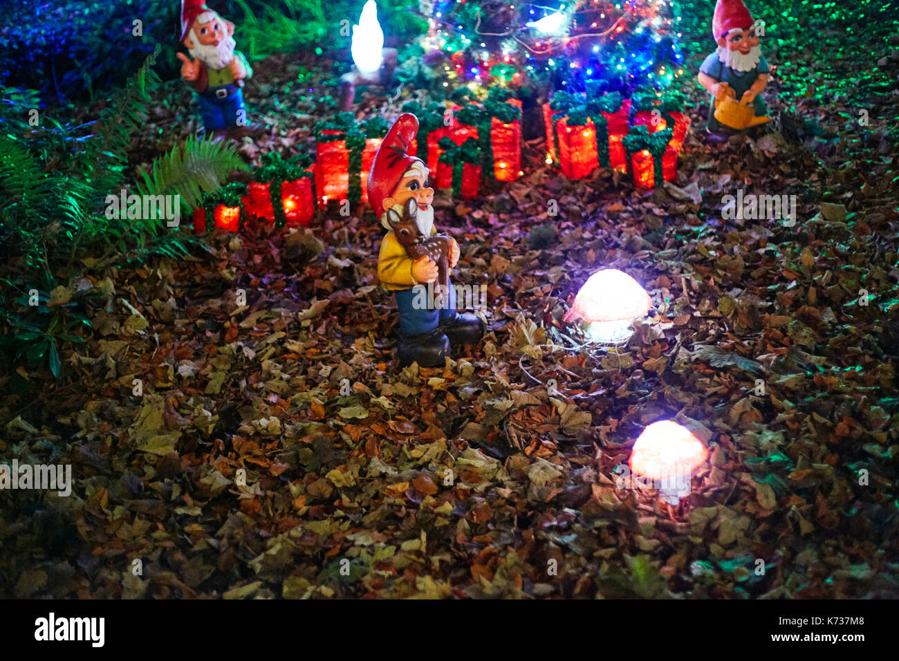 Gnomes lit up at night in a woodland setting Stock Photo - Alamy