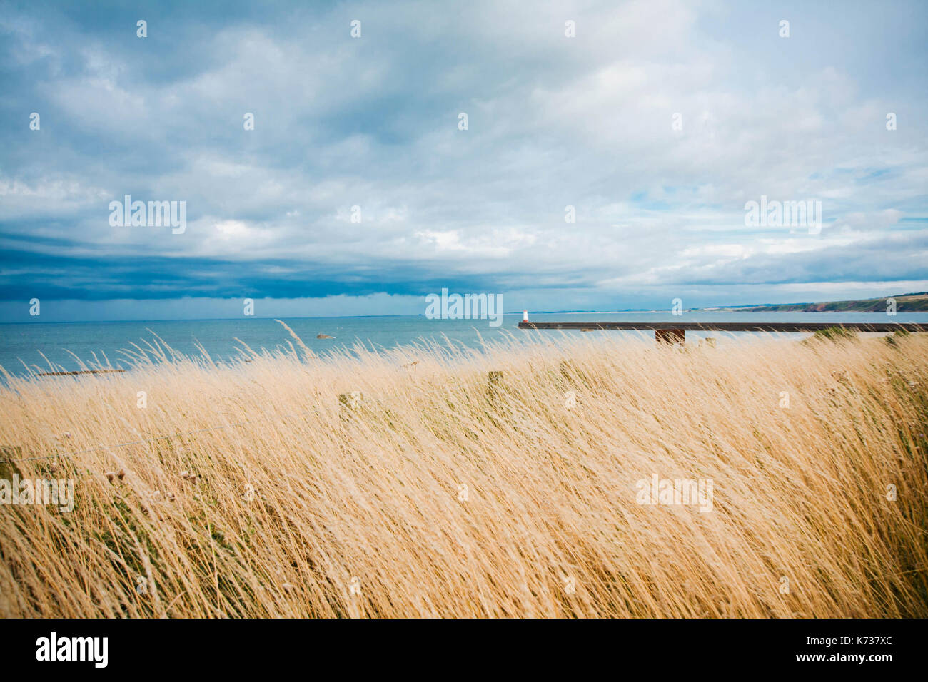 Berwick pier and lighthouse hi-res stock photography and images - Alamy