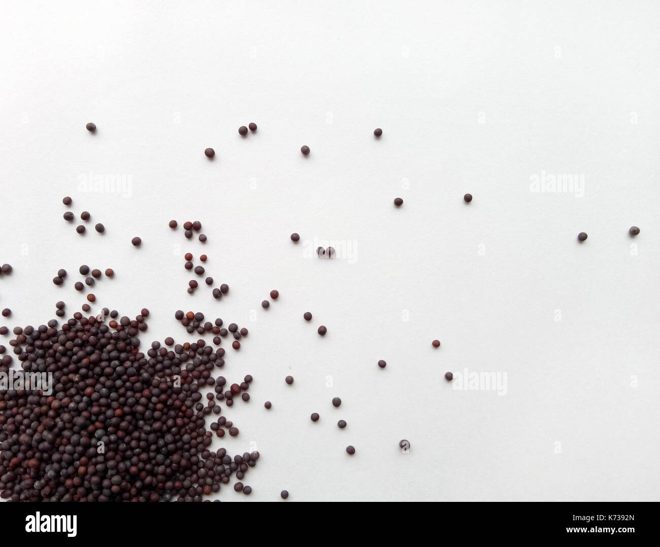 Black mustard seeds hi-res stock photography and images - Alamy
