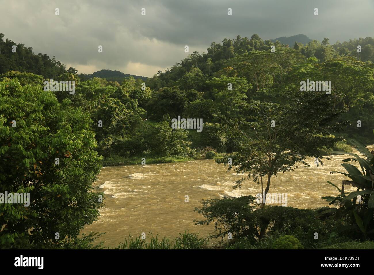 Kitulgala River, Bridge on the River Kwai, Sri Lanka, River, Jungle ...