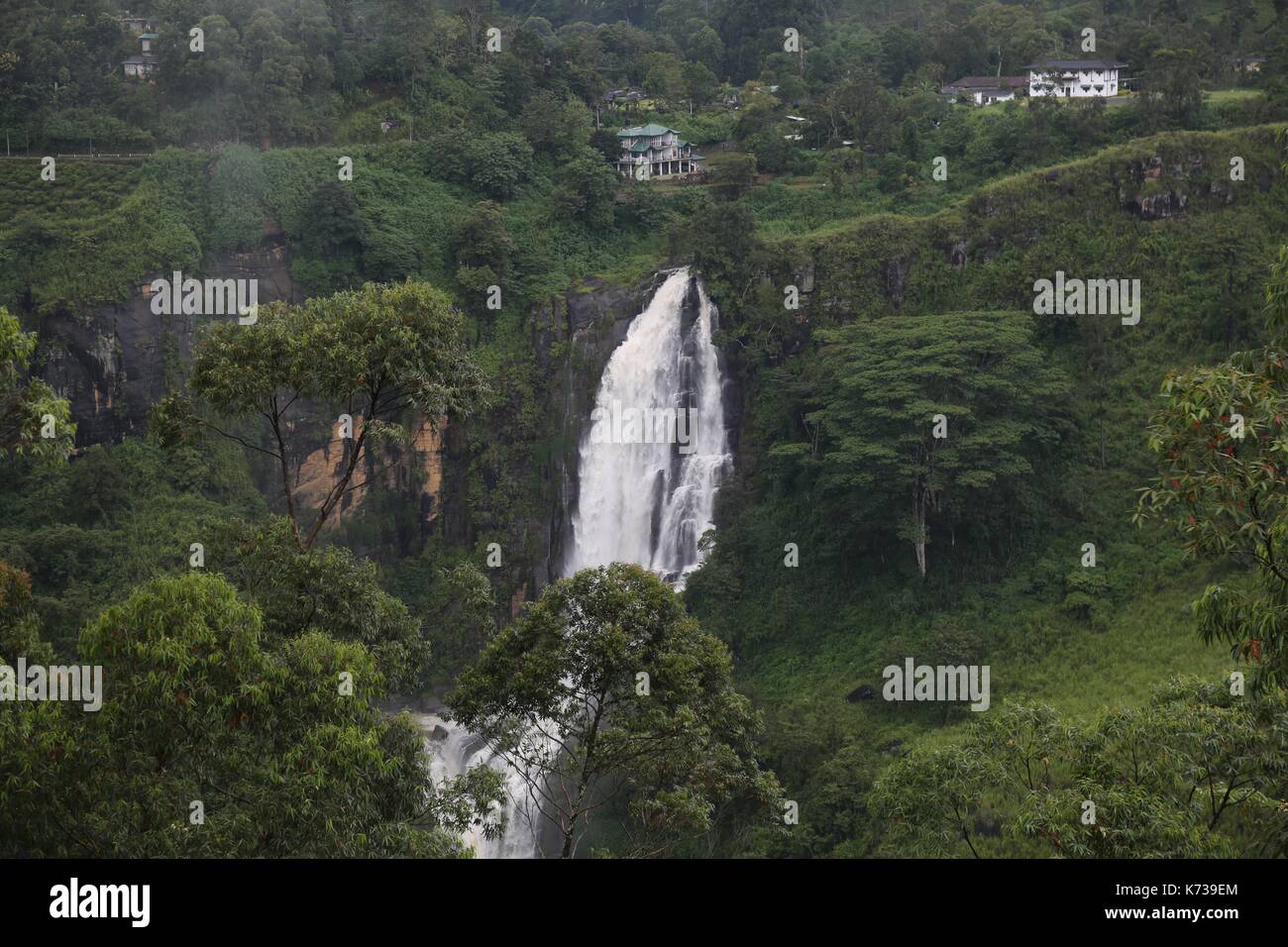 Tea Plants Growing on steep Hillside, Waterfall, Sir Lanka, Nuwara ...