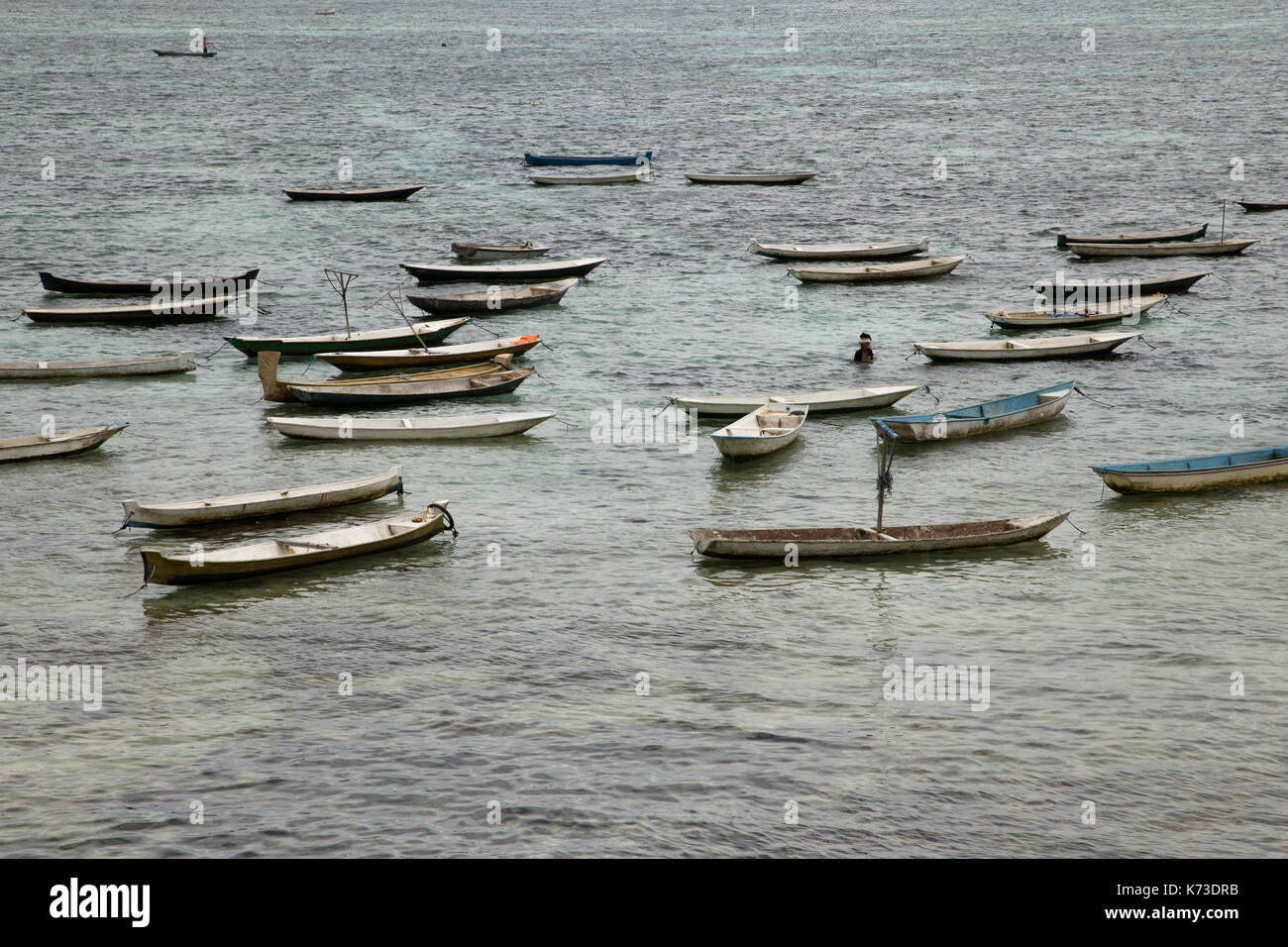 Seaweed harvesters boats Stock Photo - Alamy