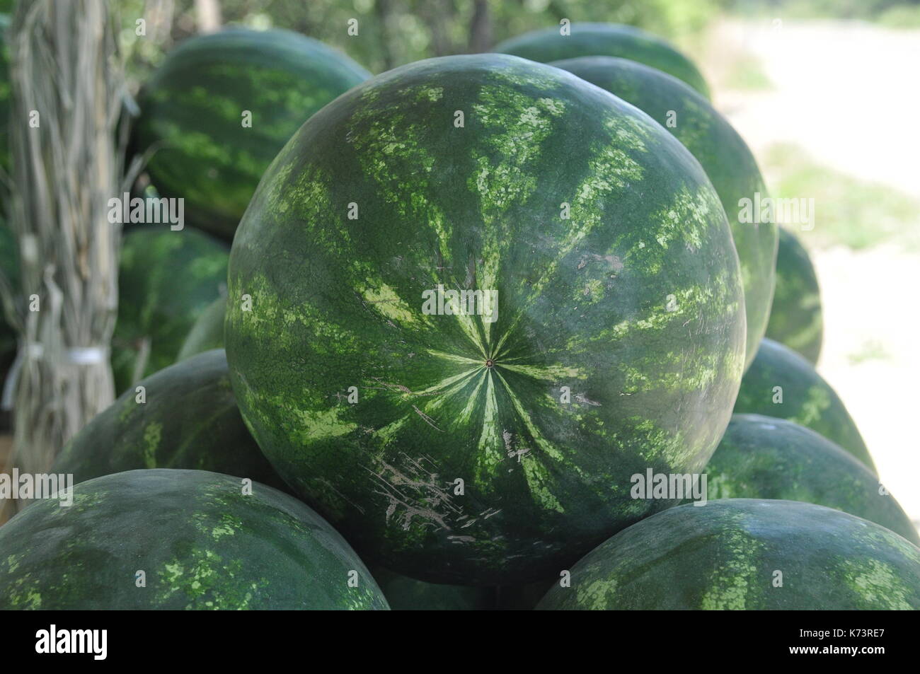 Roadside food stall large hi-res stock photography and images - Alamy