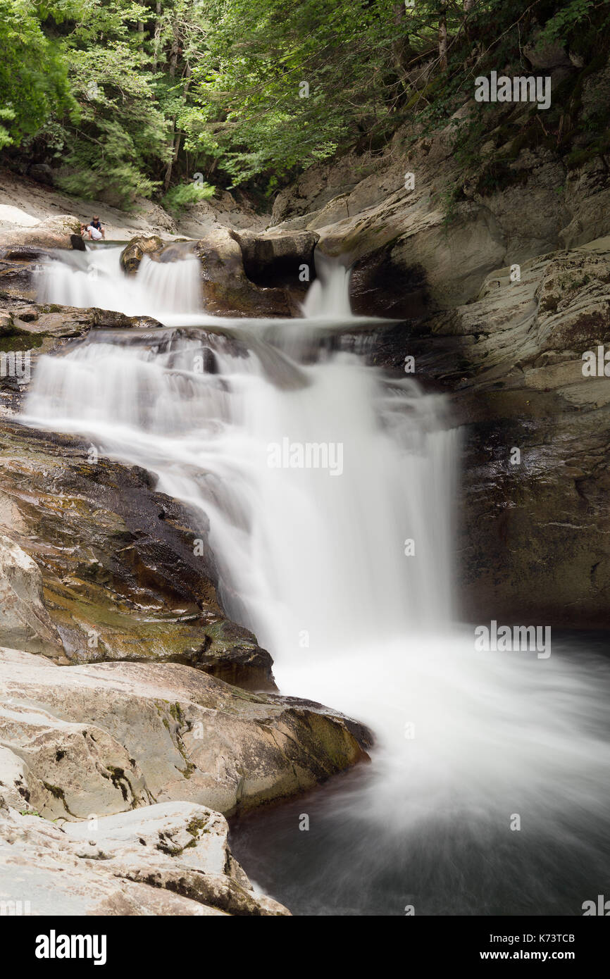 Navarra selva irati hi-res stock photography and images - Alamy