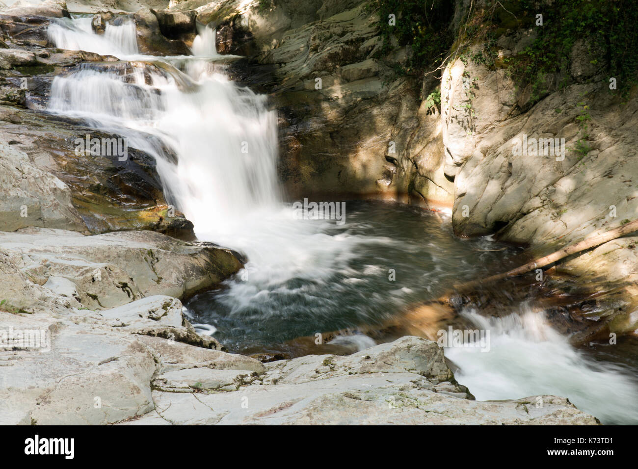 Navarra selva irati hi-res stock photography and images - Alamy