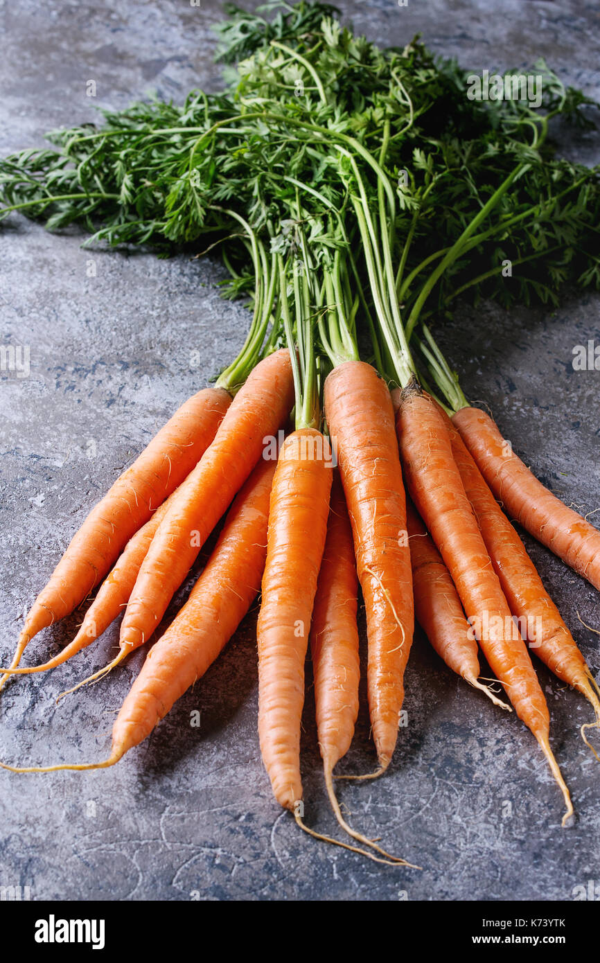 Bundle of fresh organic carrot with haulm over gray texture background ...
