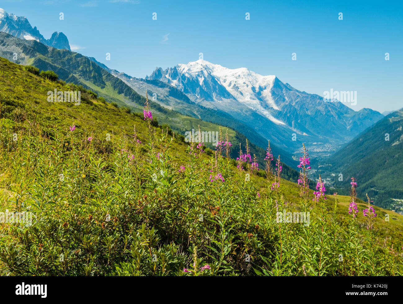 View of Mont Blanc from Le Tour, Chamonix valley, France Stock Photo ...