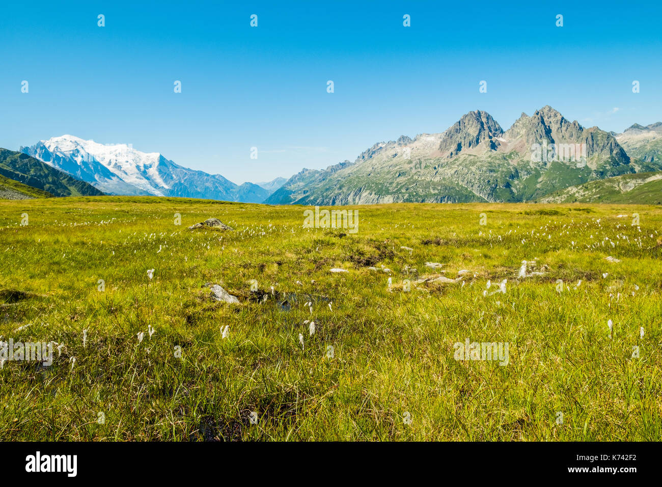 View of Mont Blanc and Aiguilles Rouges from Le Tour, Chamonix valley ...