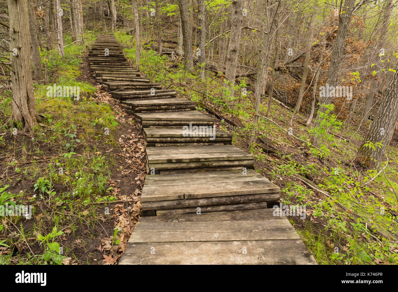 Staircase trail hi-res stock photography and images - Alamy