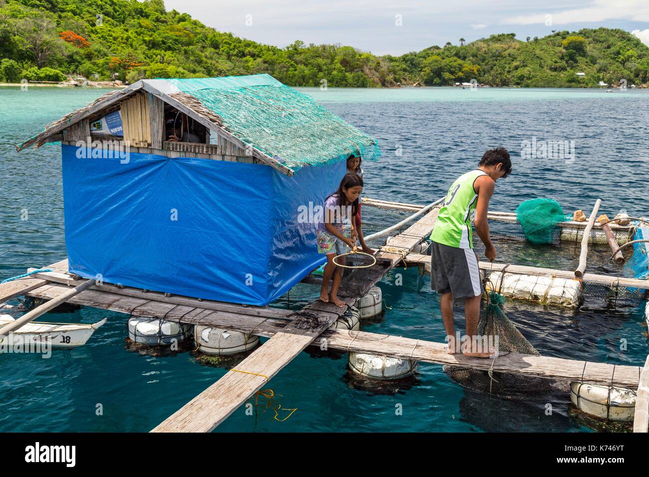Philippines, Palawan, Taytay Bay, Biton Island, floating stocking cages ...