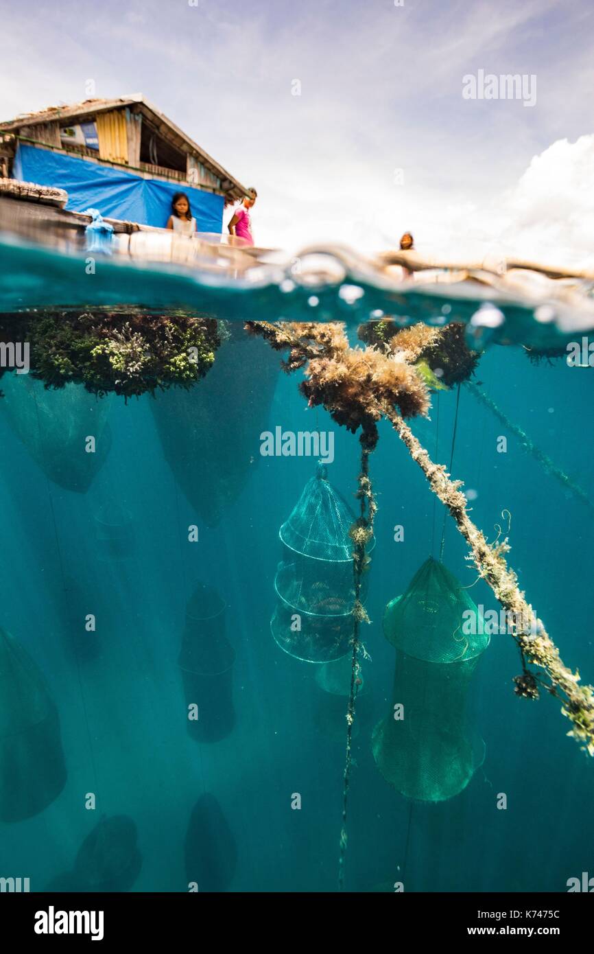 Philippines, Palawan, Taytay Bay, Biton Island, floating stocking cages ...