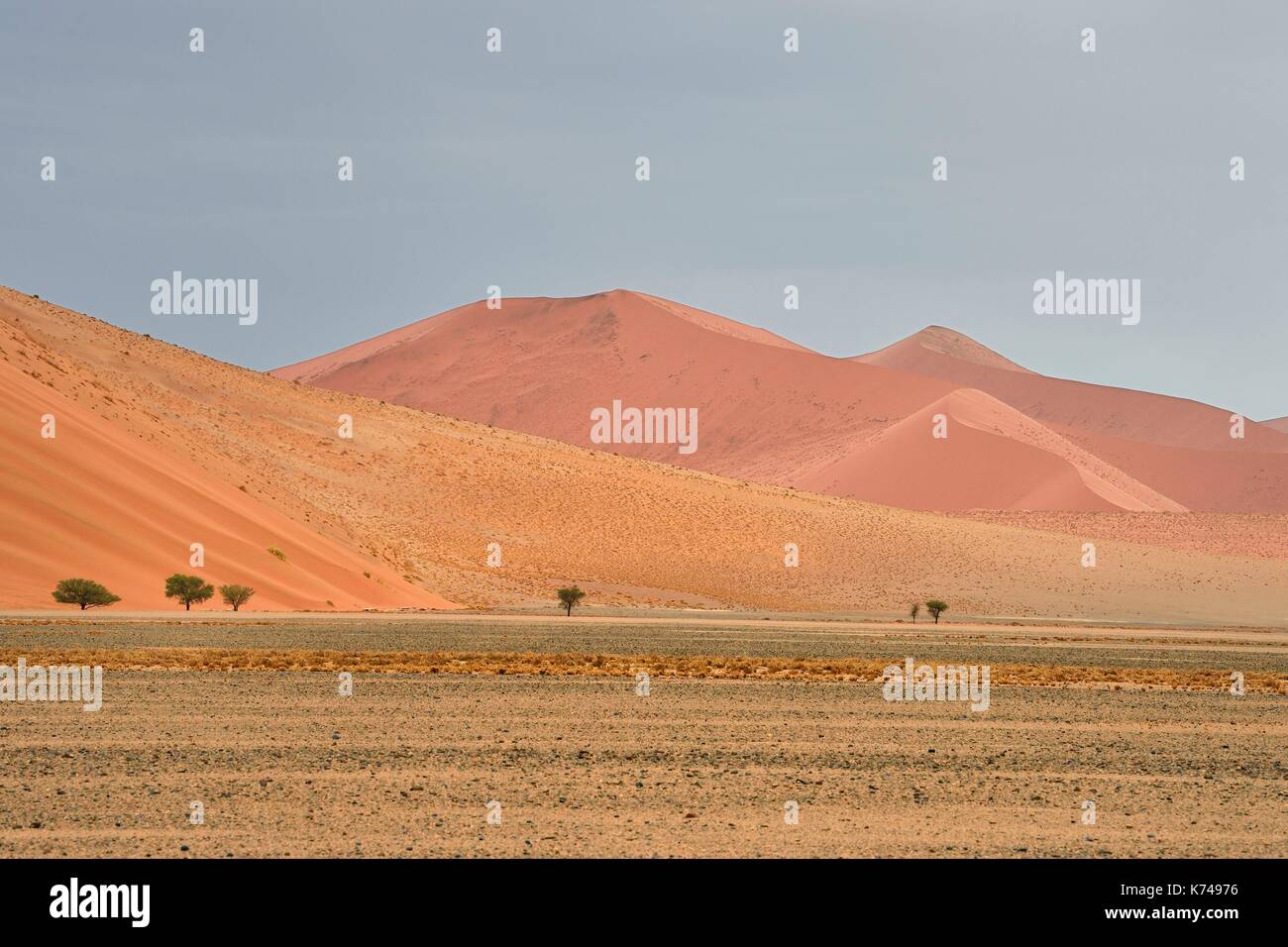 Namibia, Hardap region, Namib desert, Namib-Naukluft national park ...