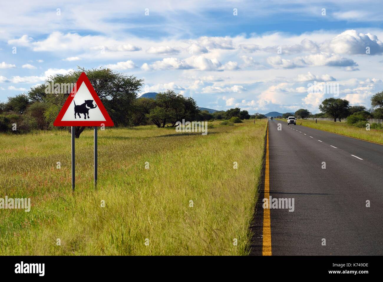 Namibia, Otjozondjupa region, National road B1, danger Warthog road ...