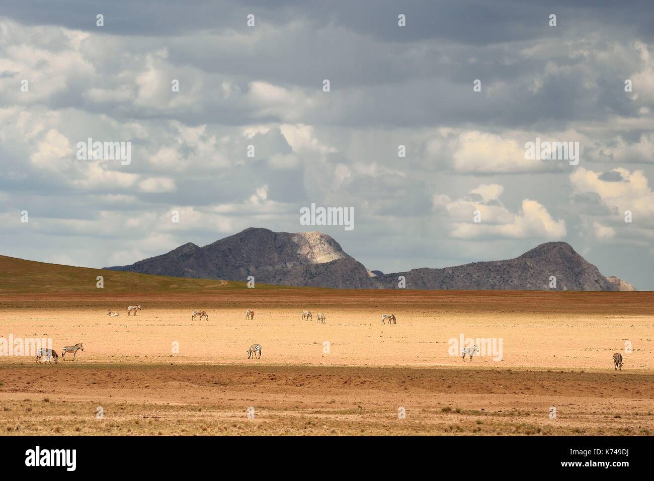 Gamsberg namibia hi-res stock photography and images - Alamy