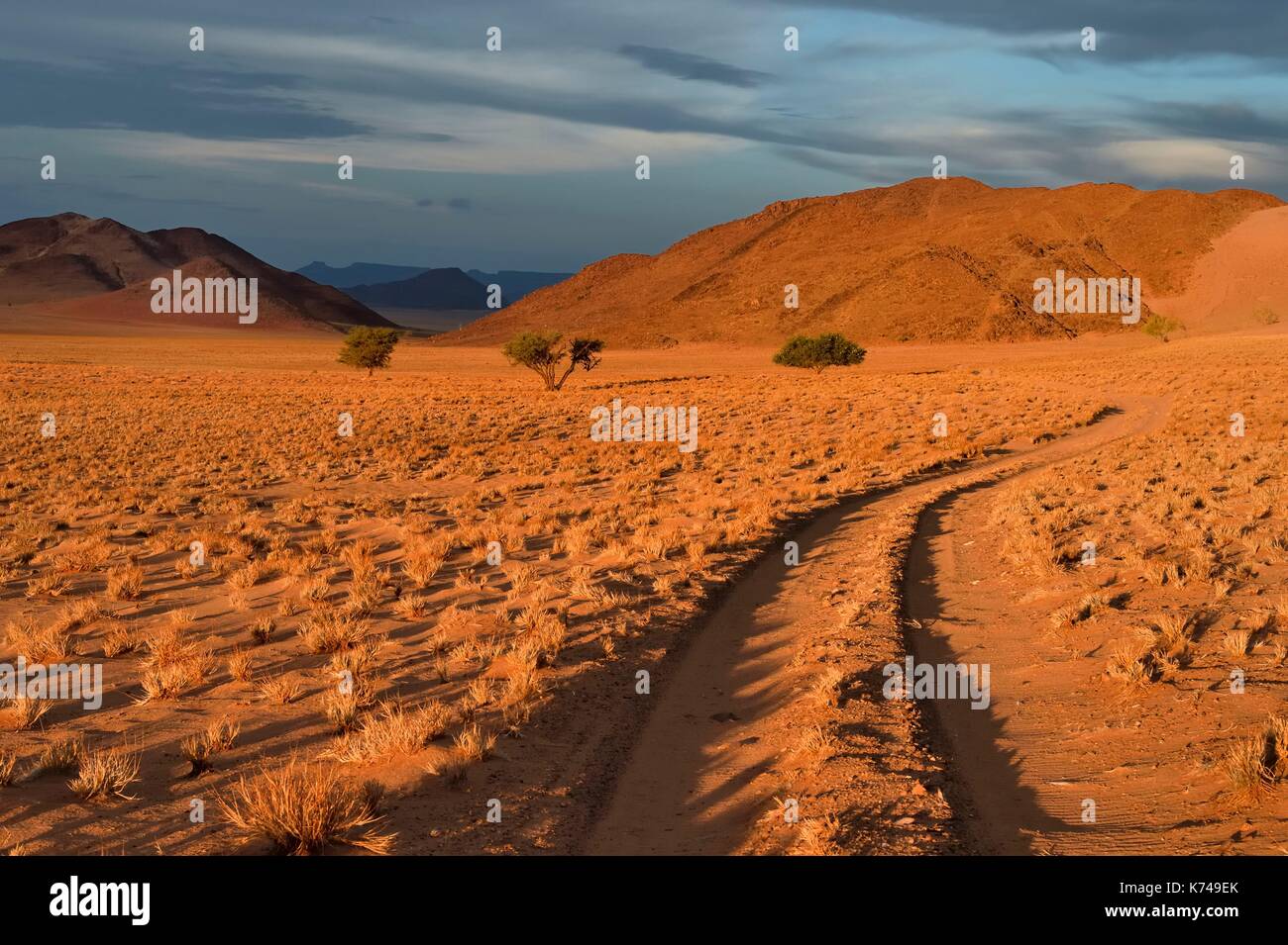 Namibia, Hardap region, Namib Desert East of the Namib Naukluft ...