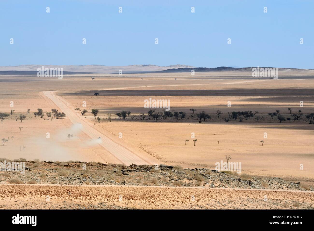 Namibia, Erongo region, Namib Naukluft National Park, Namib Desert, C14 ...