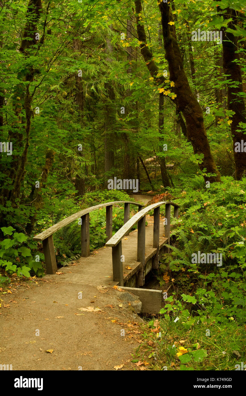 Hiking Trail Footbridge In The Woods Stock Photo - Alamy