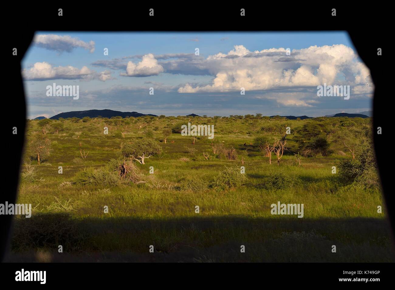 Namibia, Erongo region, landscape from the Shongololo express train ...