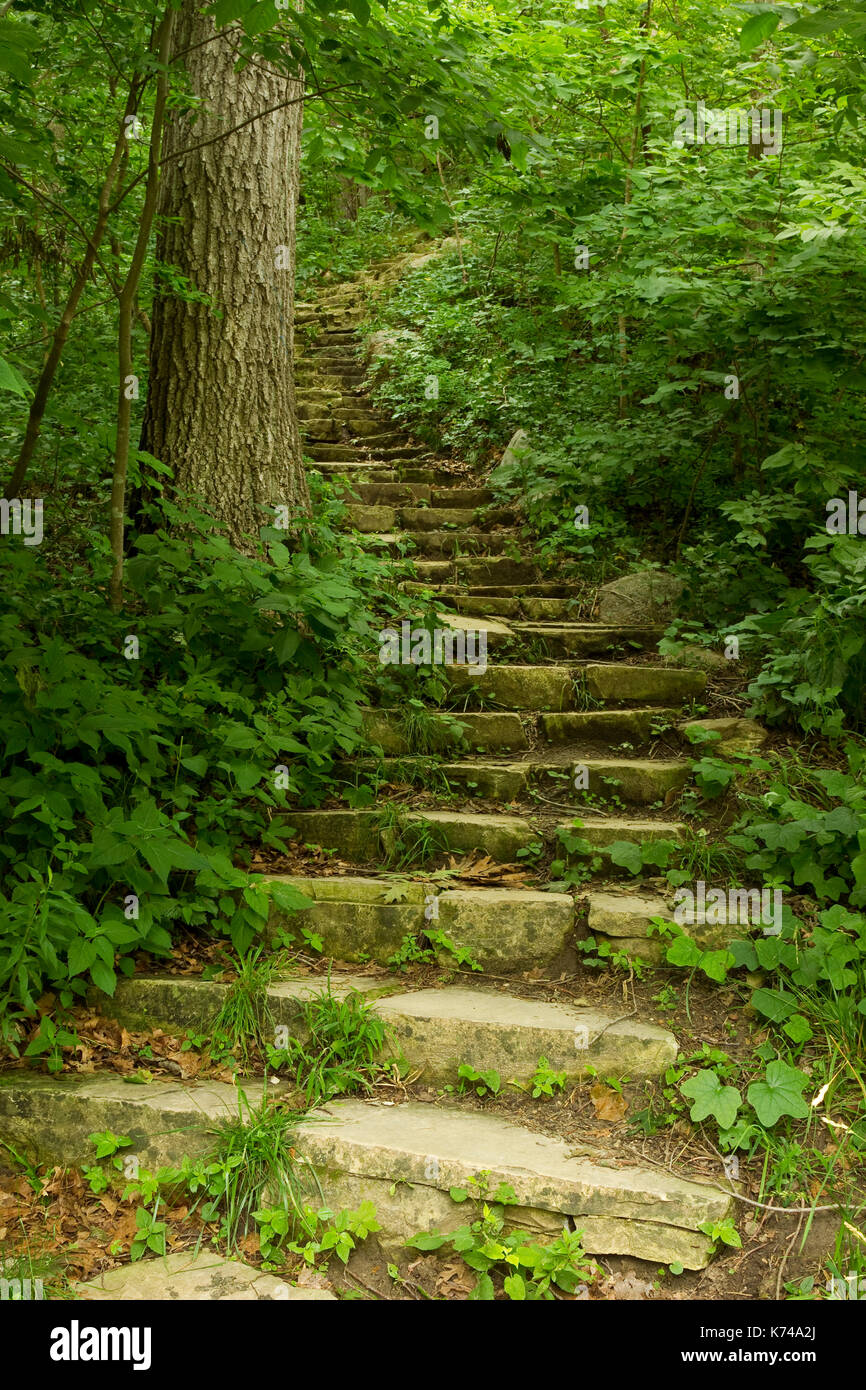 Stone Step Trail In The Woods Stock Photo - Alamy