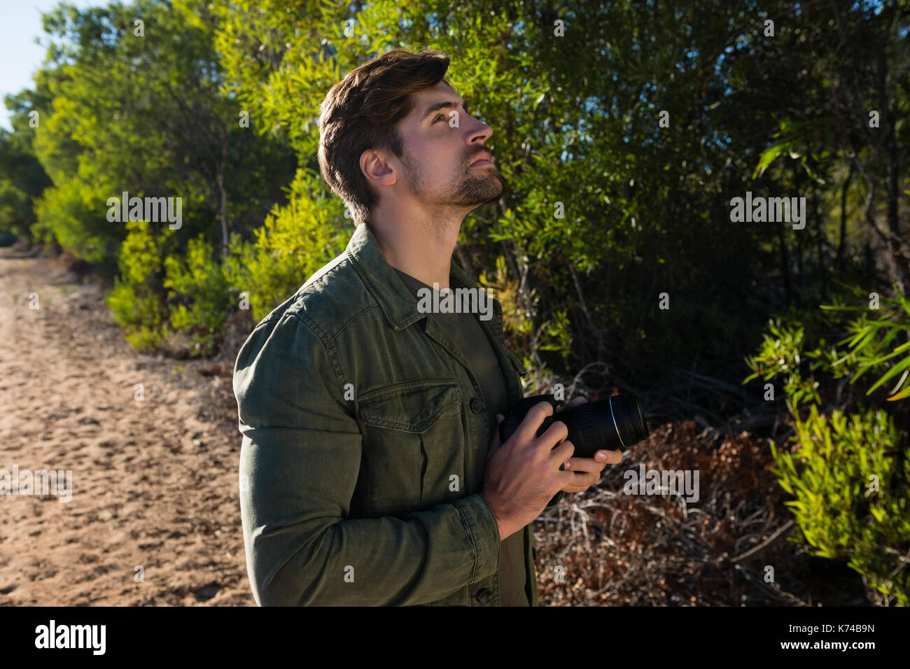 Looking up at trees hi-res stock photography and images - Alamy