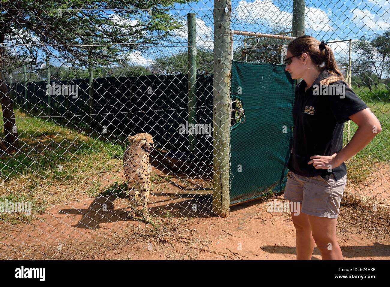 Namibia, Otjiwarongo, Cheetah Conservation Fund, research and education ...