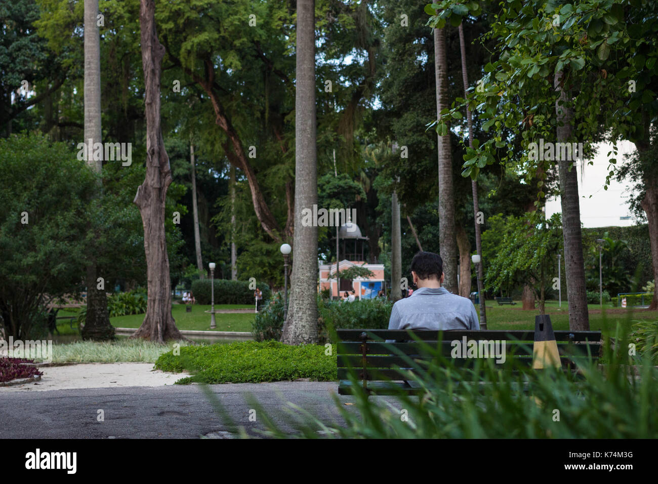 the backs of man seating alone at a park, surrounded by the green ...