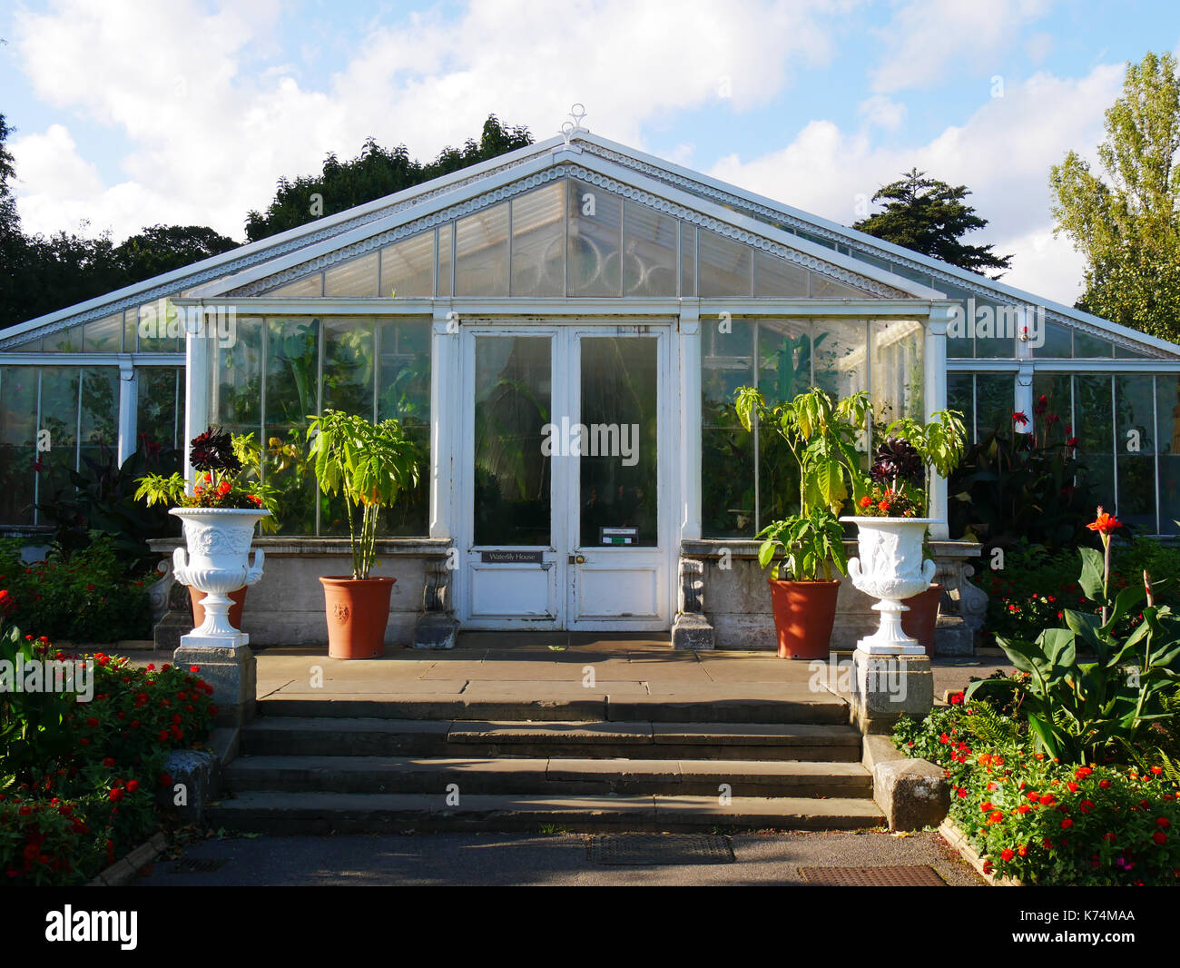 Lily house hi-res stock photography and images - Alamy