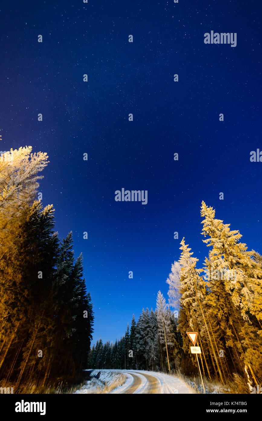 night sky with stars in the winter night with trees and milky way Stock ...