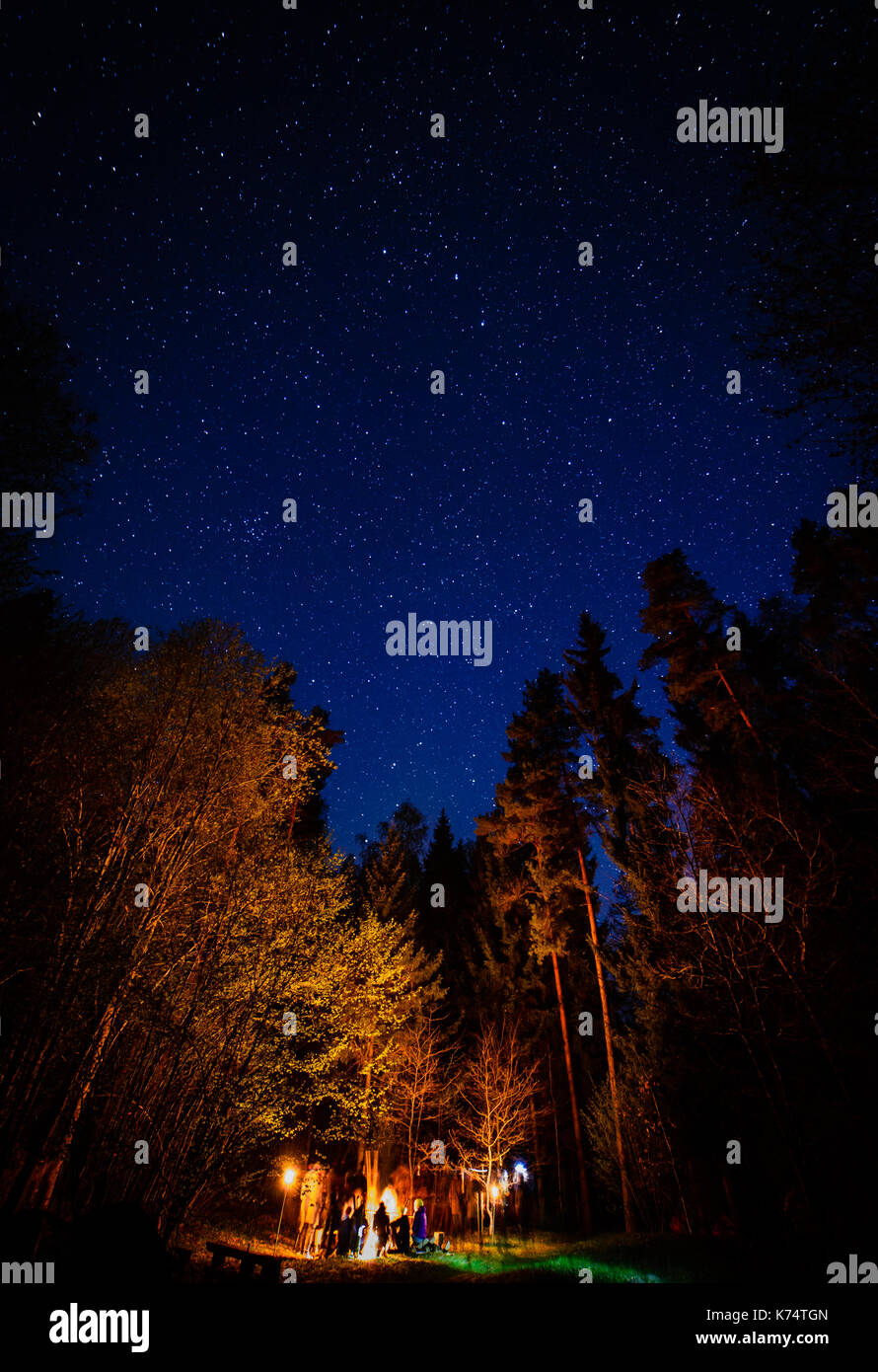 colorful milky way galaxy seen in night sky through black trees in ...