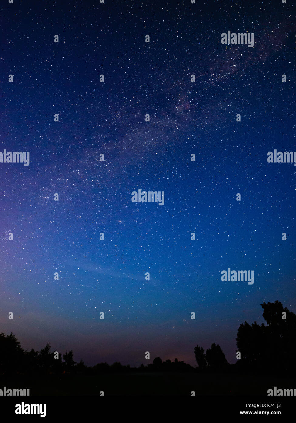 colorful milky way galaxy seen in night sky over dark trees on the ...