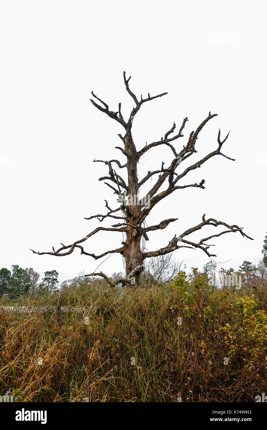 Finality hi-res stock photography and images - Alamy