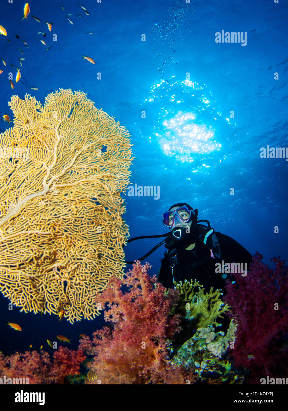 Scuba diving regulator hi-res stock photography and images - Alamy