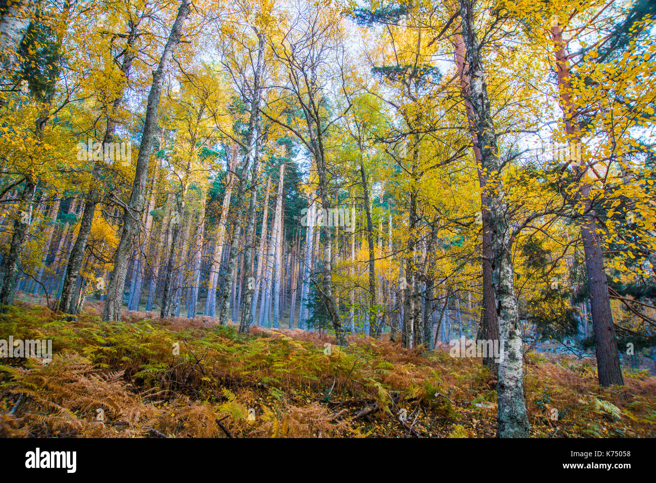 Concepto de parque nacional hi-res stock photography and images - Alamy
