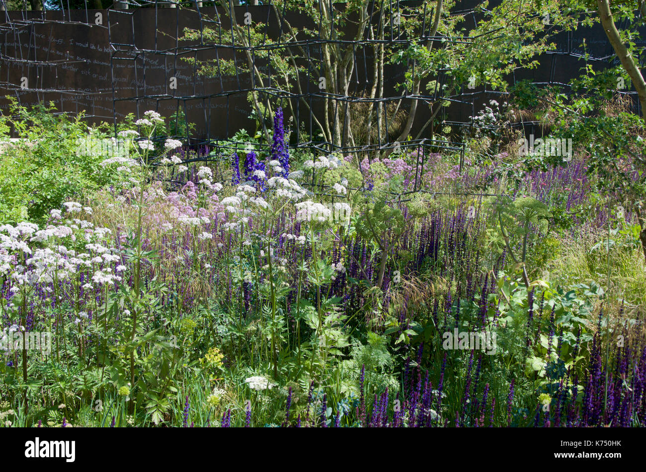 The Breaking Ground garden at RHS Chelsea Flower Show 2017 Stock Photo ...