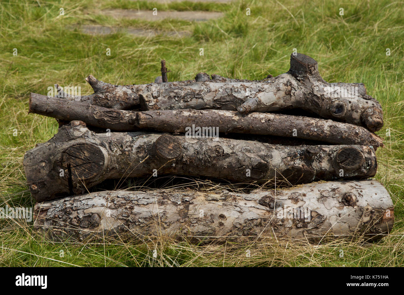 A pile of logs in a garden left for insects to colonise Stock Photo - Alamy