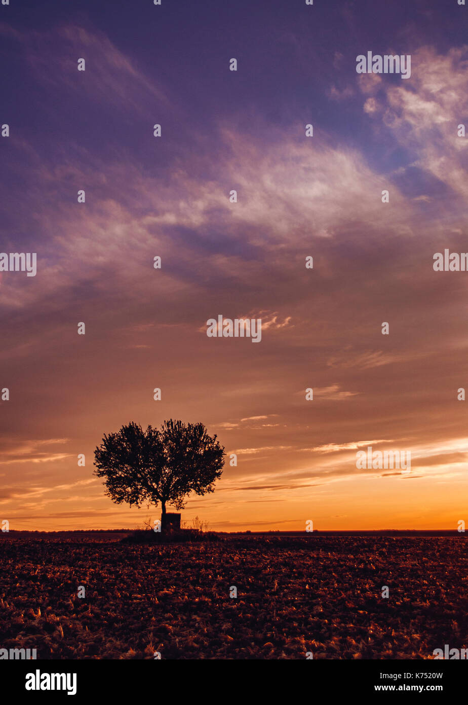 Stand alone tree hi-res stock photography and images - Alamy