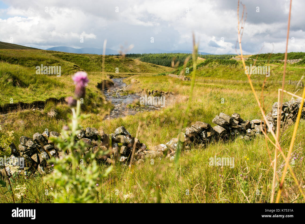 Galloway forest park hi-res stock photography and images - Alamy