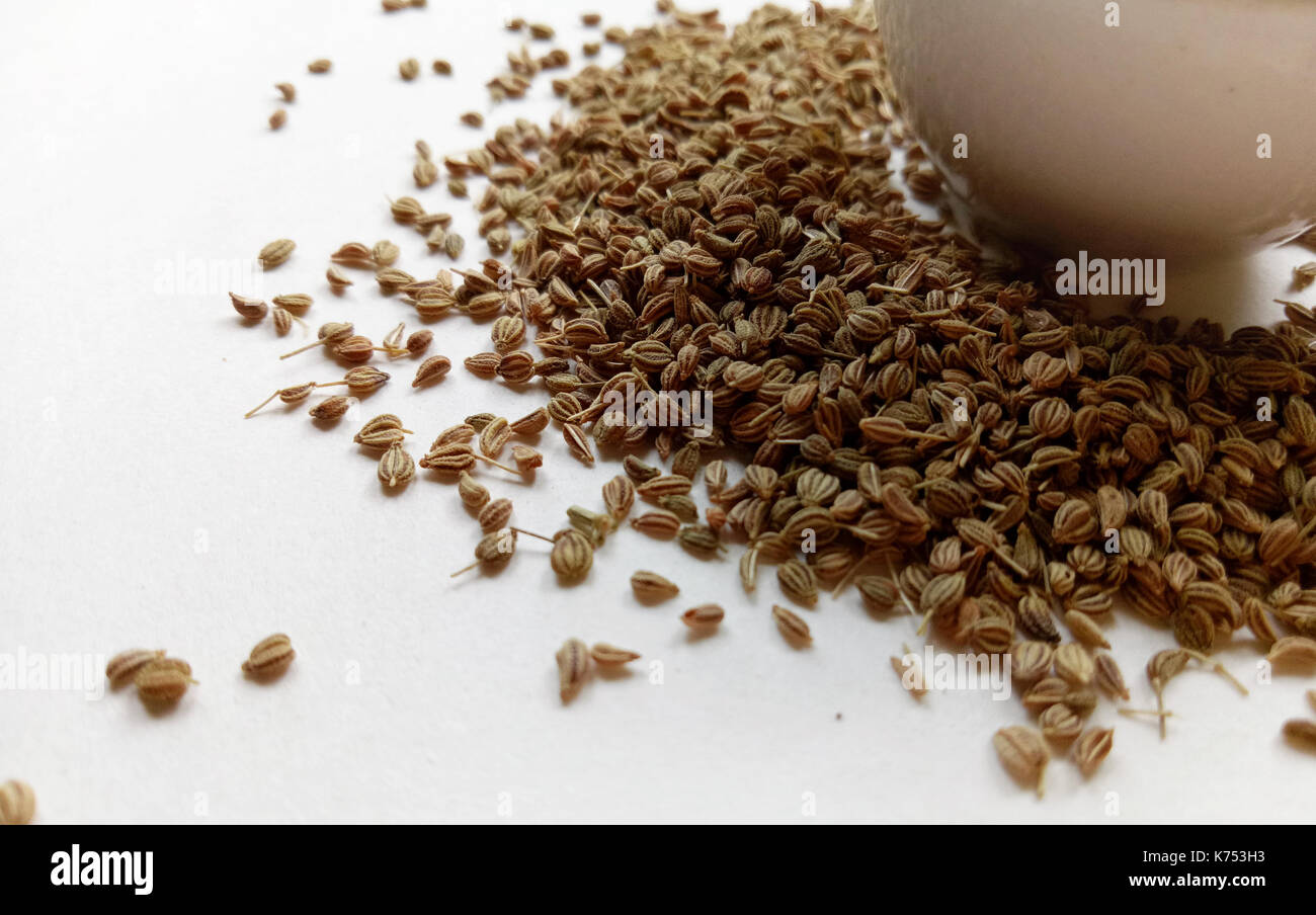 Celery seeds hi-res stock photography and images - Alamy