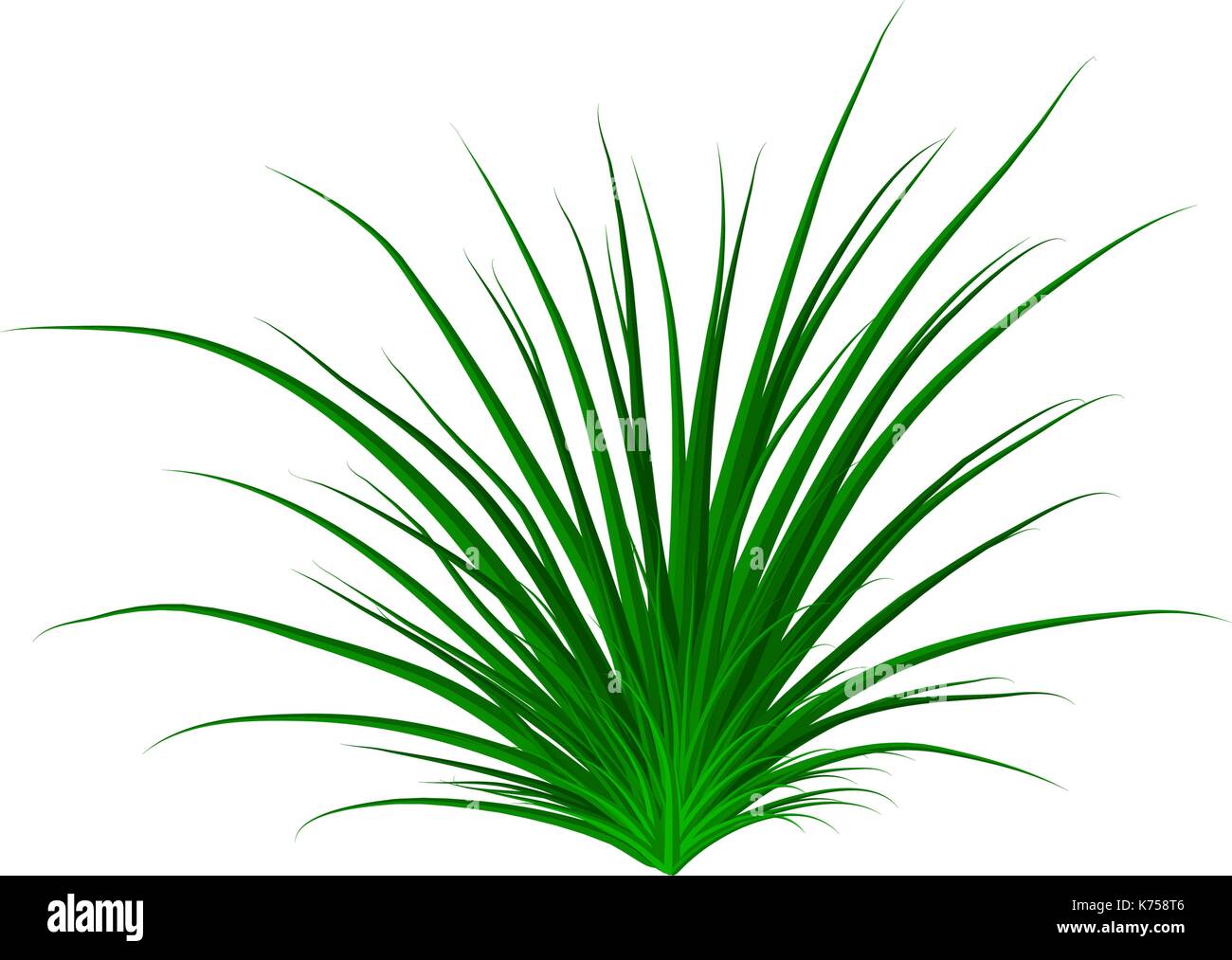 grass vector symbol icon design. Beautiful illustration isolated on ...