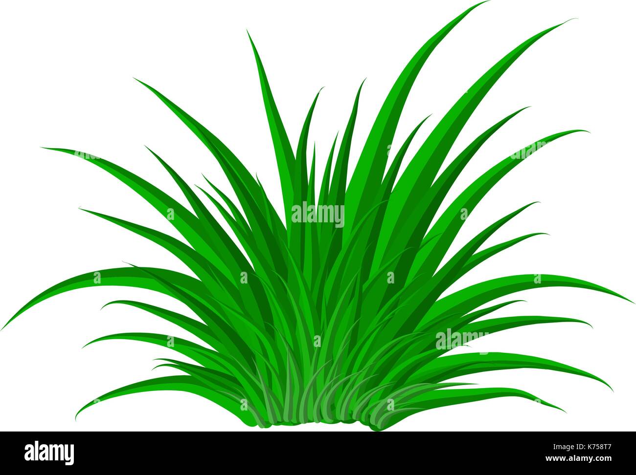 grass vector symbol icon design. Beautiful illustration isolated on ...