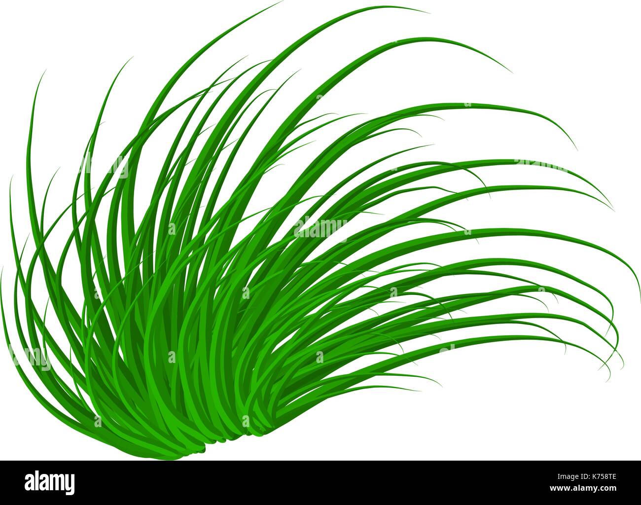 grass vector symbol icon design. Beautiful illustration isolated on ...