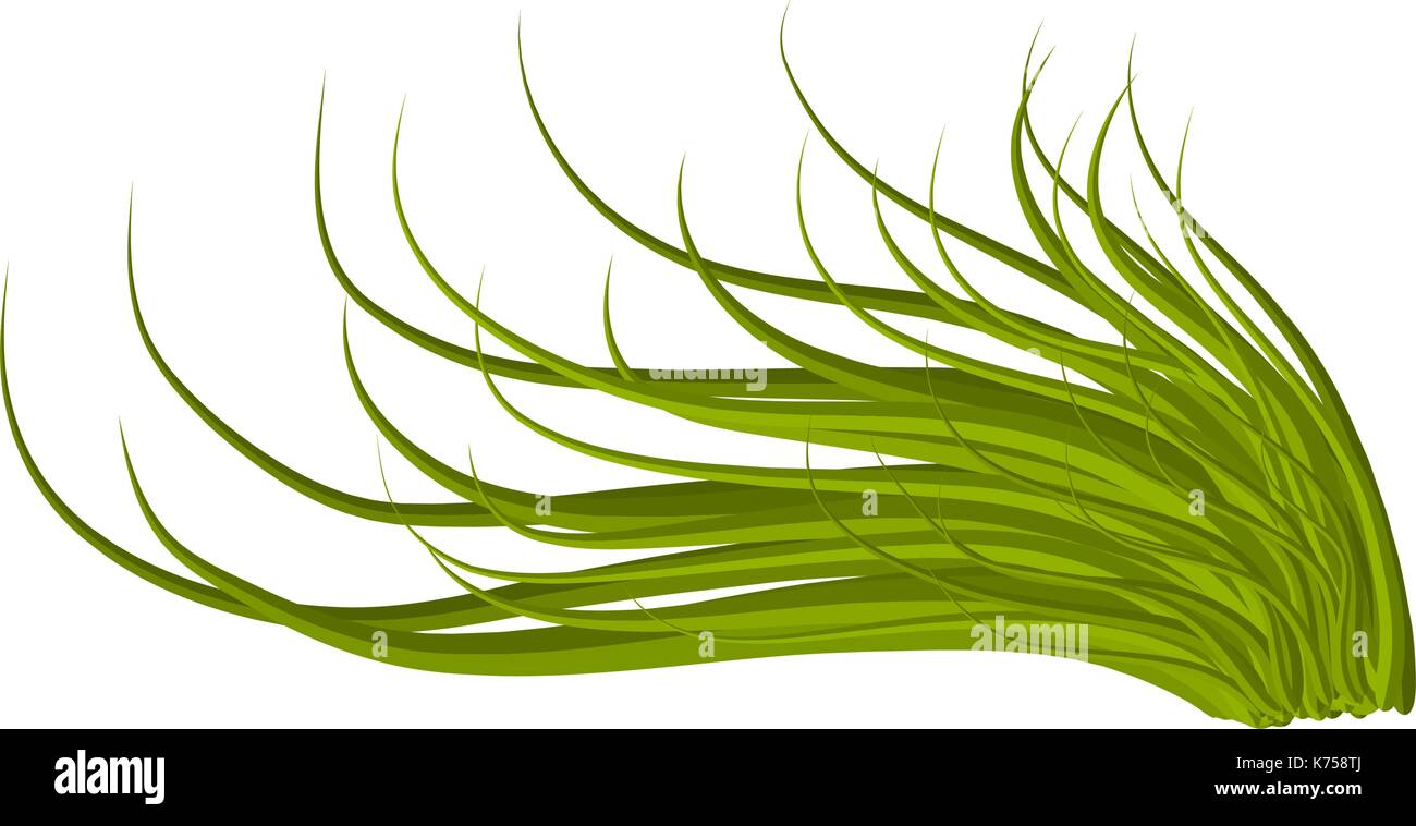 grass vector symbol icon design. Beautiful illustration isolated on ...