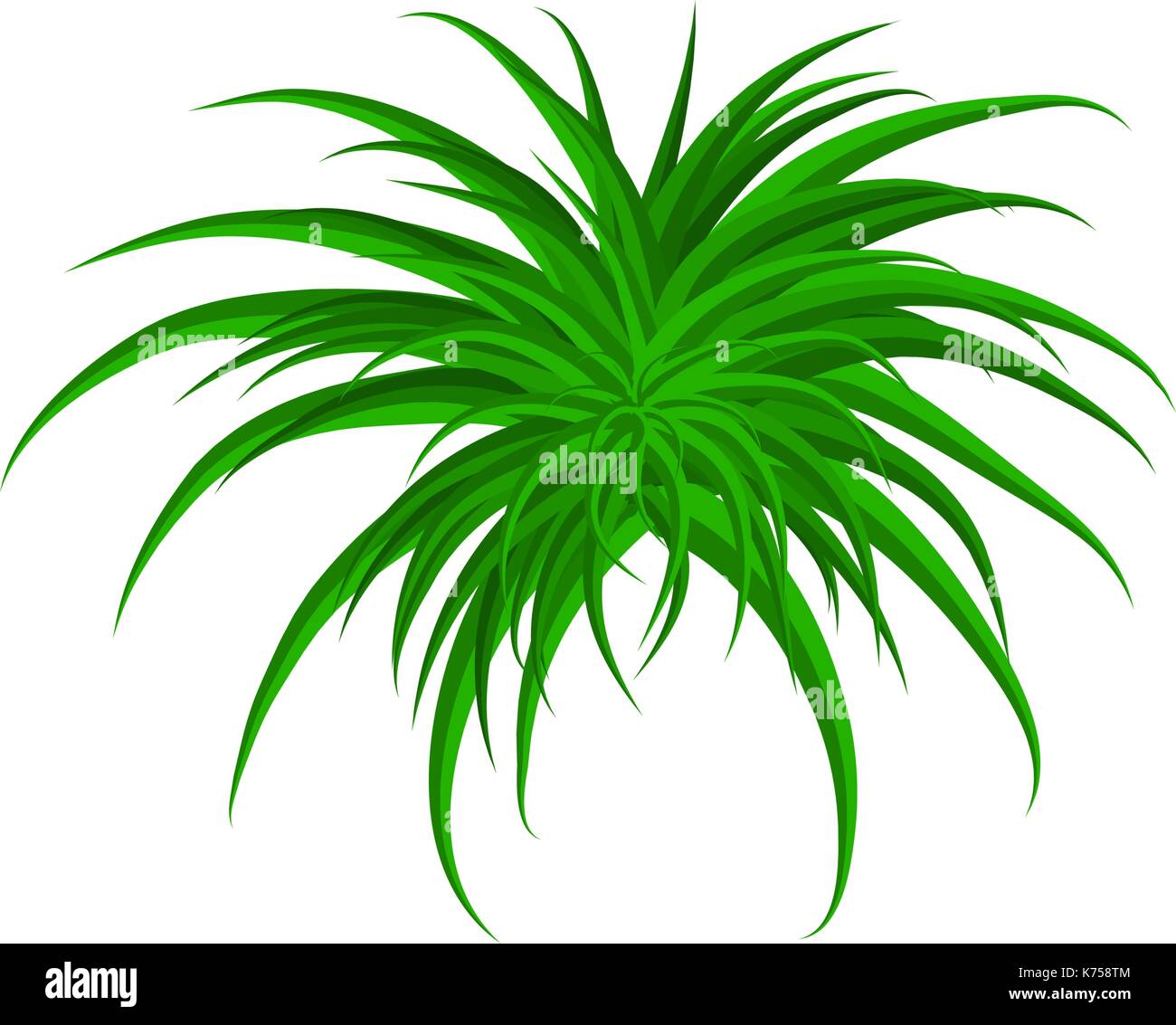 grass vector symbol icon design. Beautiful illustration isolated on ...