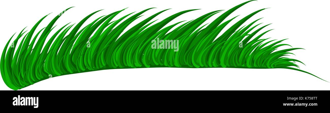 grass vector symbol icon design. Beautiful illustration isolated on ...