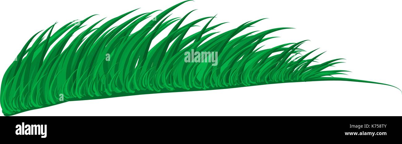 grass vector symbol icon design. Beautiful illustration isolated on ...