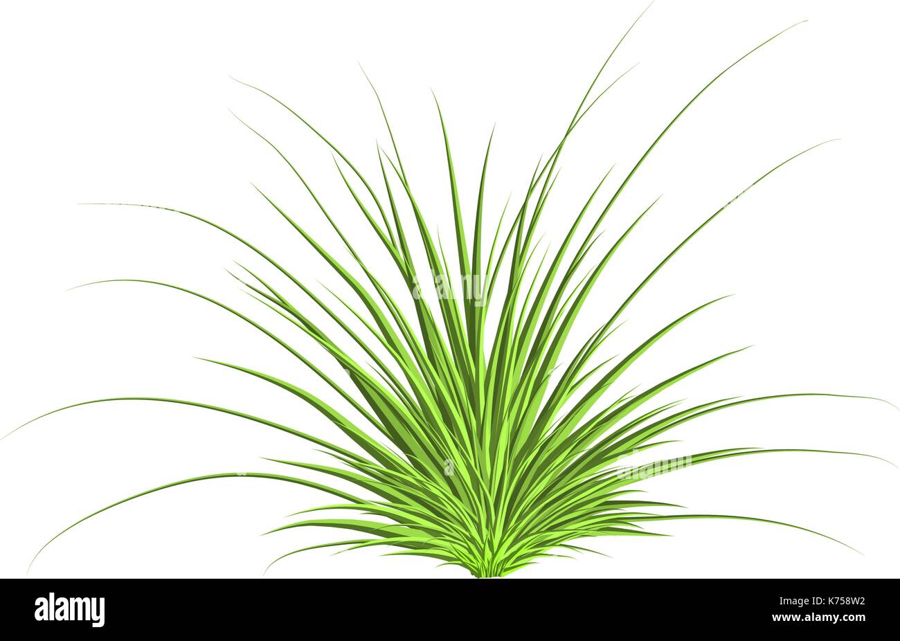 grass vector symbol icon design. Beautiful illustration isolated on ...