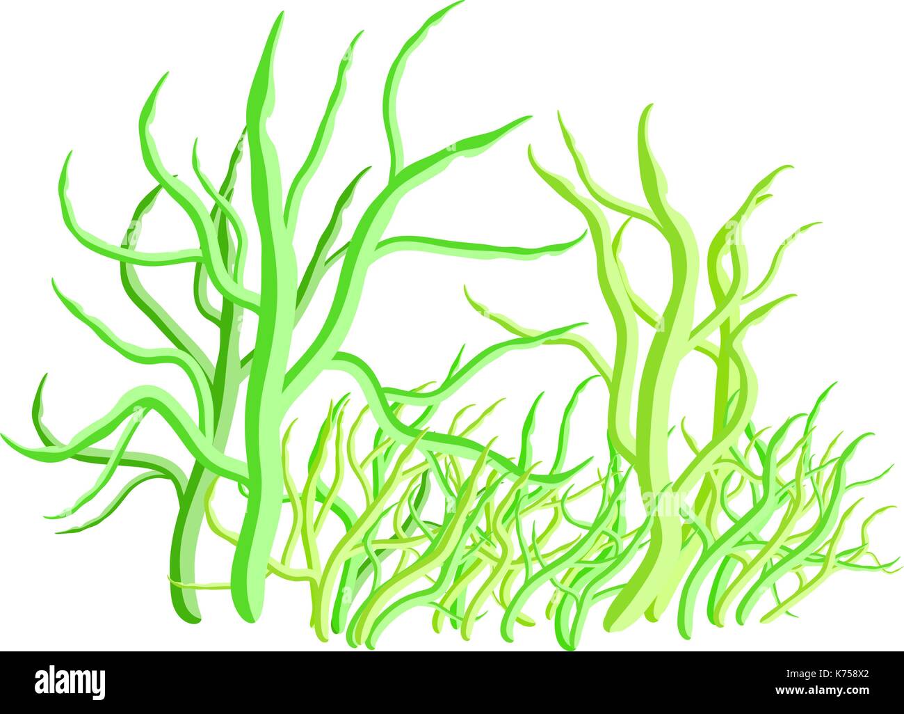 algae vector symbol icon design. Beautiful illustration isolated on ...